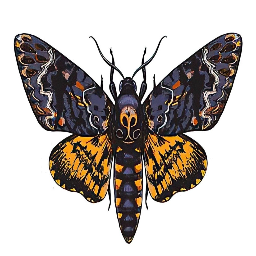 Yellow and Black Moth | Cut Out Design | Resizable Printable PNG, PDF ...