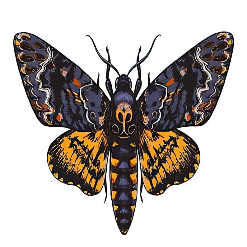 Yellow and Black Moth Cut Out Design Resizable Printable - Etsy
