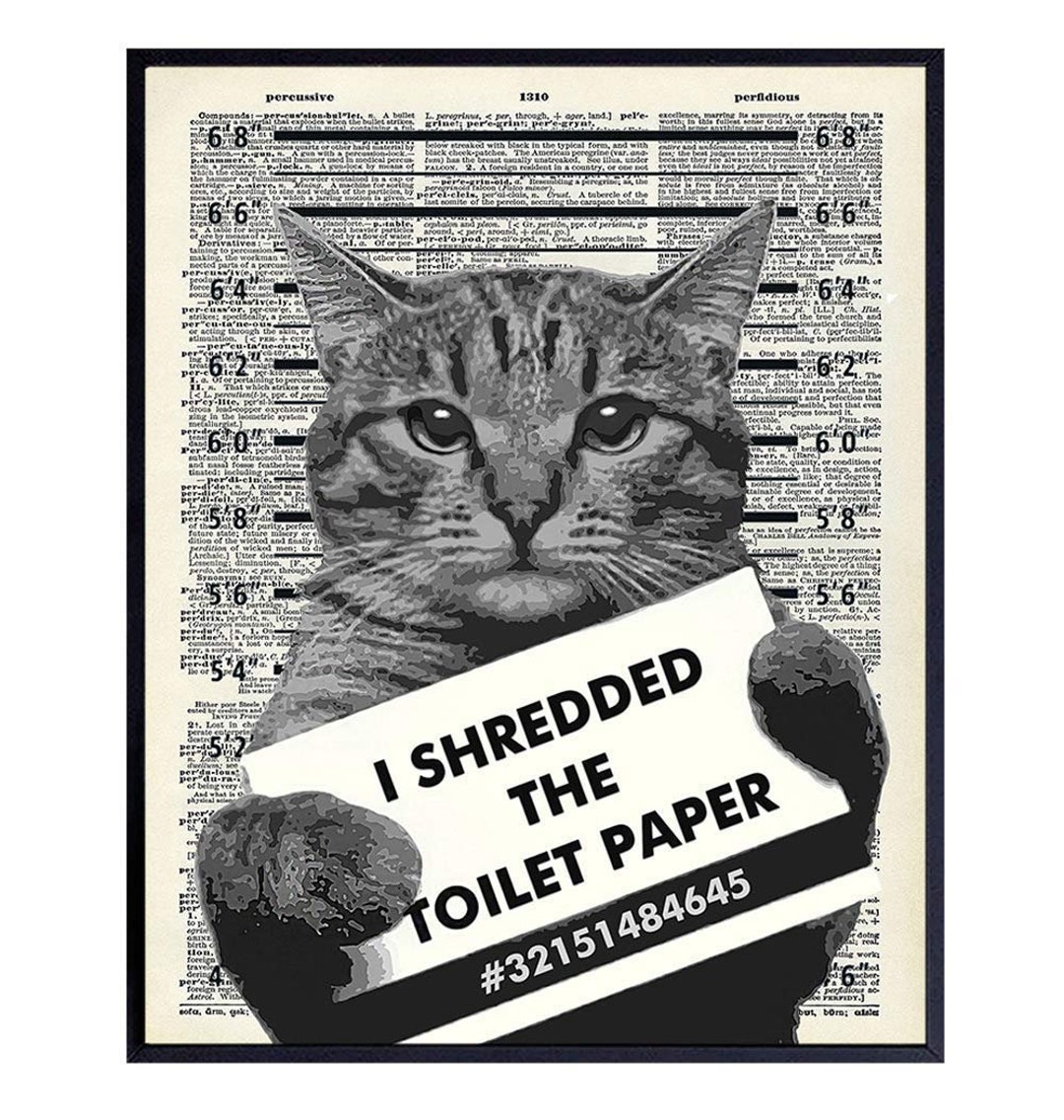 Tabby Cat Prisoner Photo I Shredded the Toilet Paper DIY - Etsy
