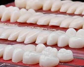 20pcs Acrylic Fangs,monster Teeth Charm.vintage Plastic Bone Finding ...