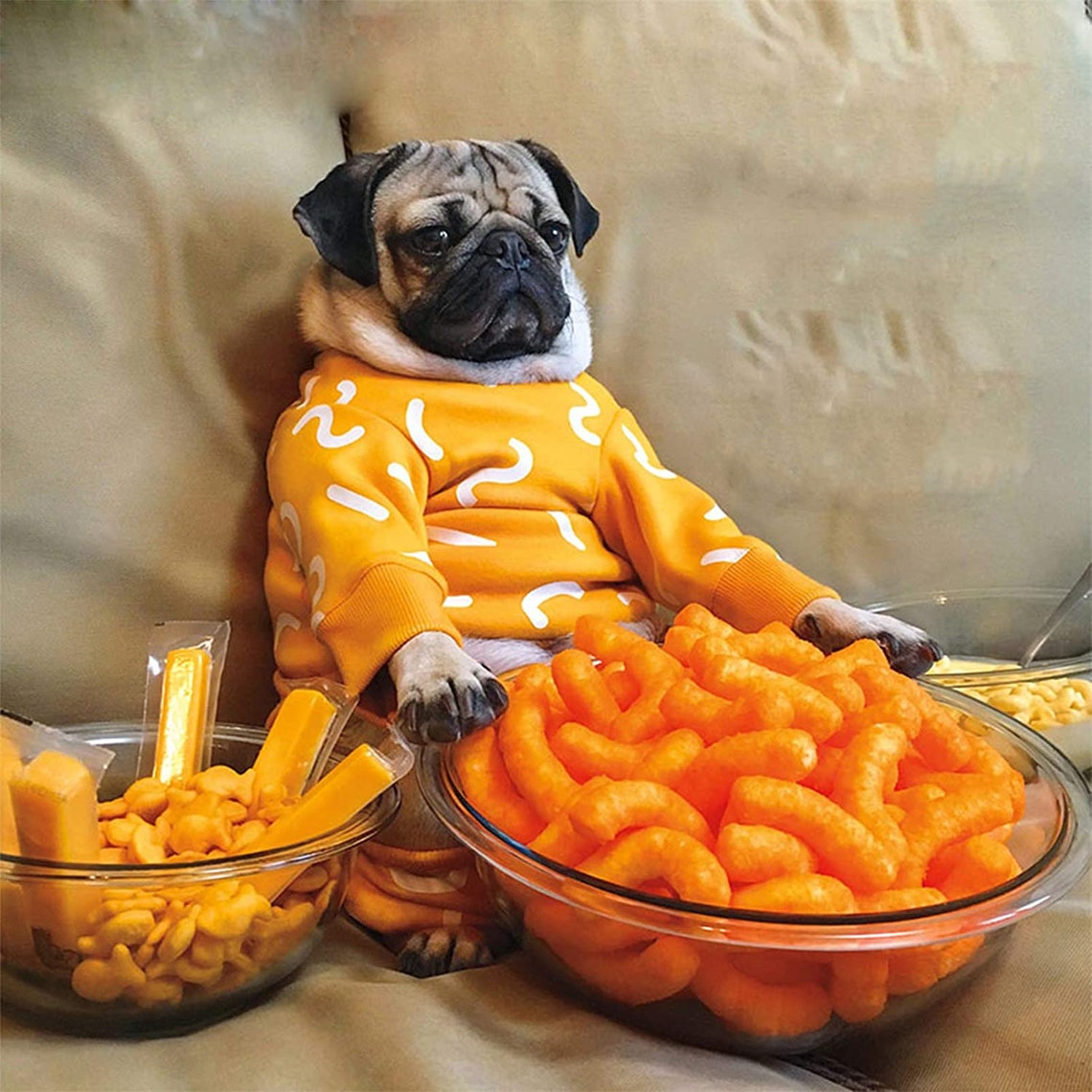 Pug Bulldog on Couch With Cheetos 5d Diamond Diy Art Round - Etsy
