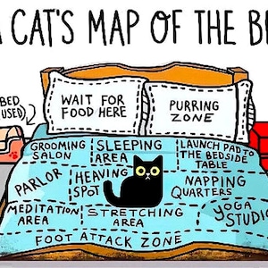 A Cats Map of the Bed Pet Lovers Home Decor Gift Idea Wall Art Brand ...