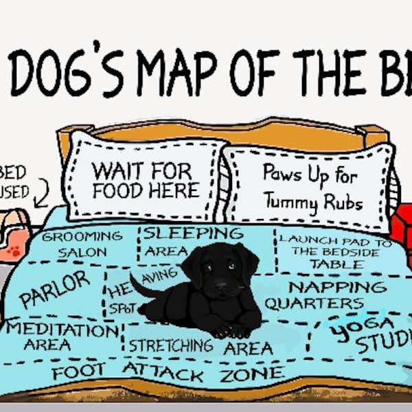 Dogs Map of Bed - Etsy
