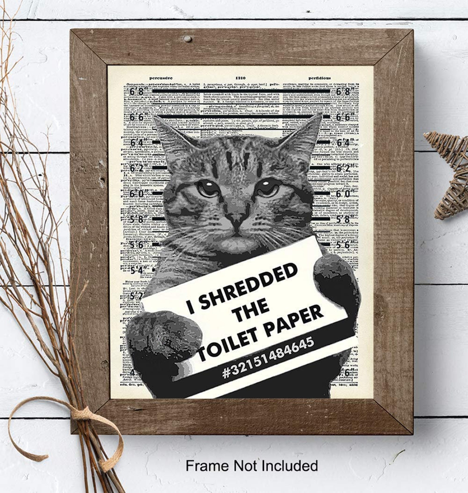 Tabby Cat Prisoner Photo I Shredded the Toilet Paper DIY - Etsy