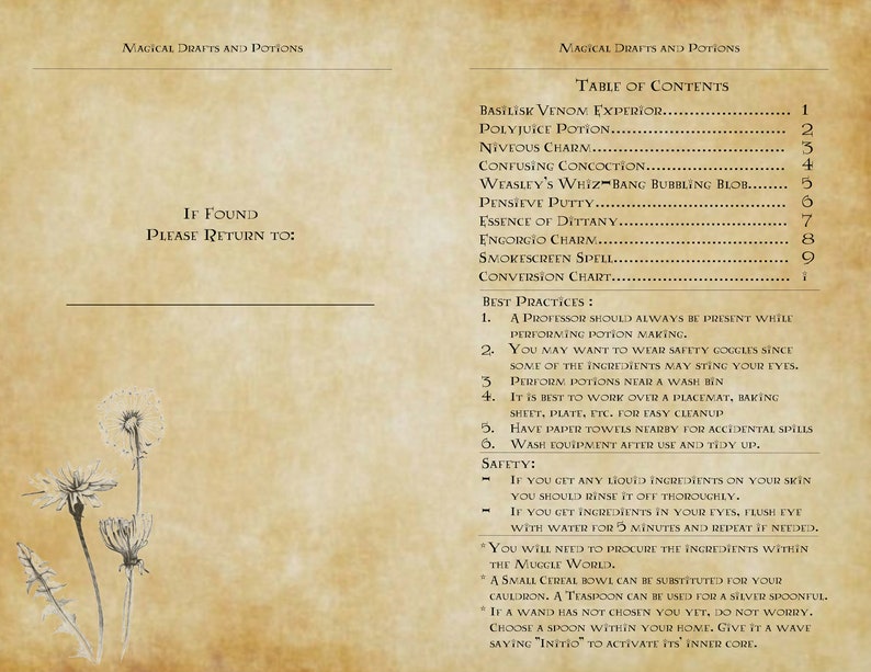 Inspired Potion Making: Magical Drafts and Potions 9 - Etsy Canada