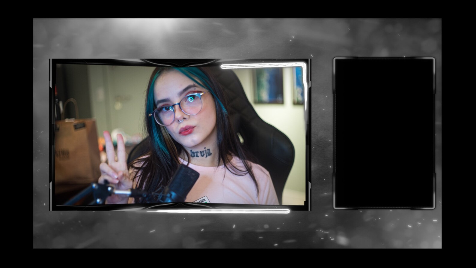 Horse Mare Stream Package Overlay Black & White Panels Webcam Facecam ...