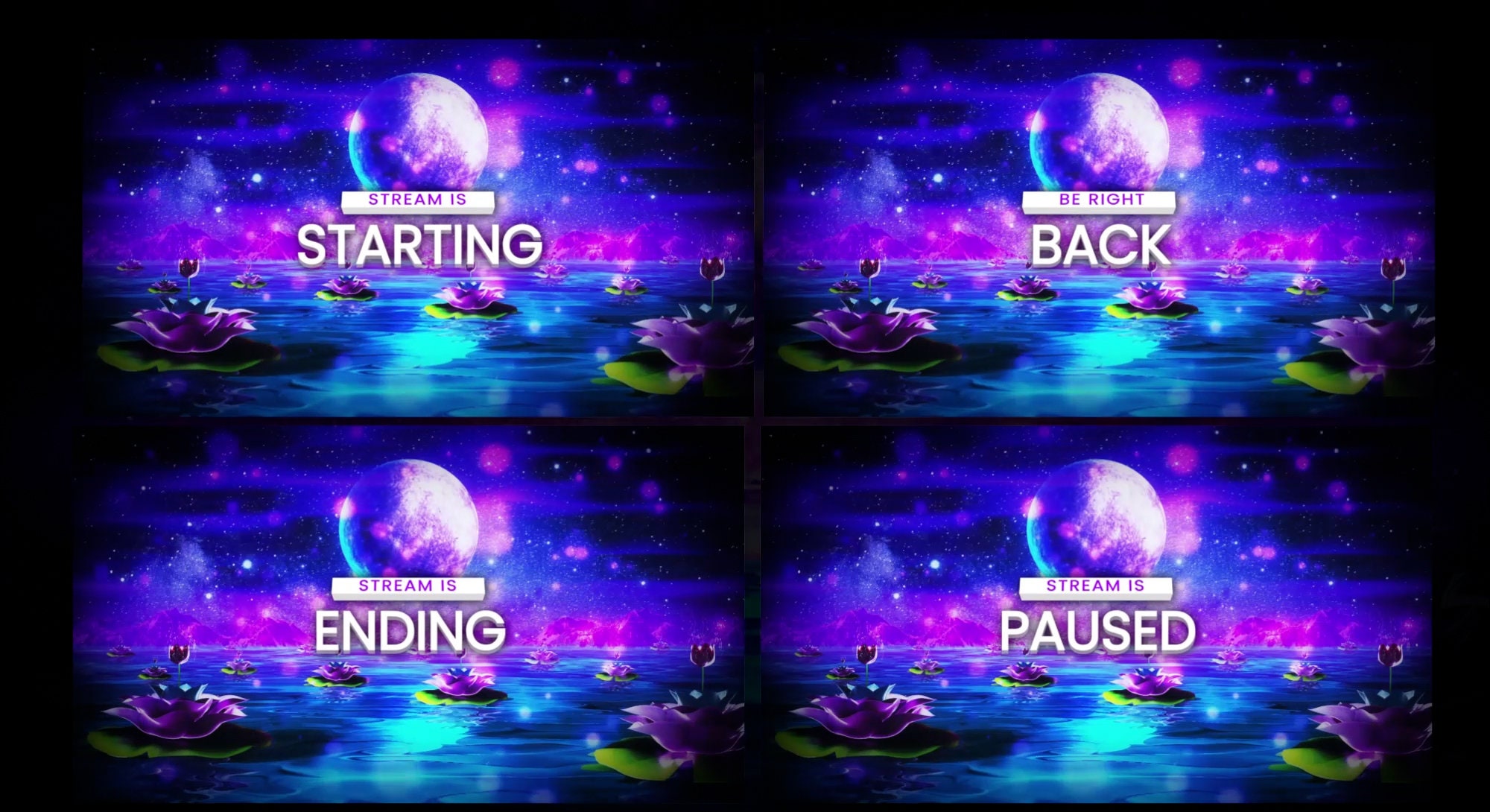 Twitch Stream Overlay Pack Animated Overlays Fantasy - Etsy Canada