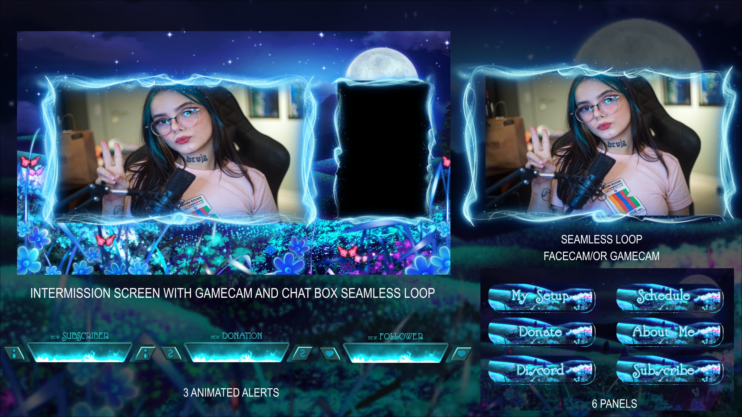 Animated Twitch Overlay - Etsy