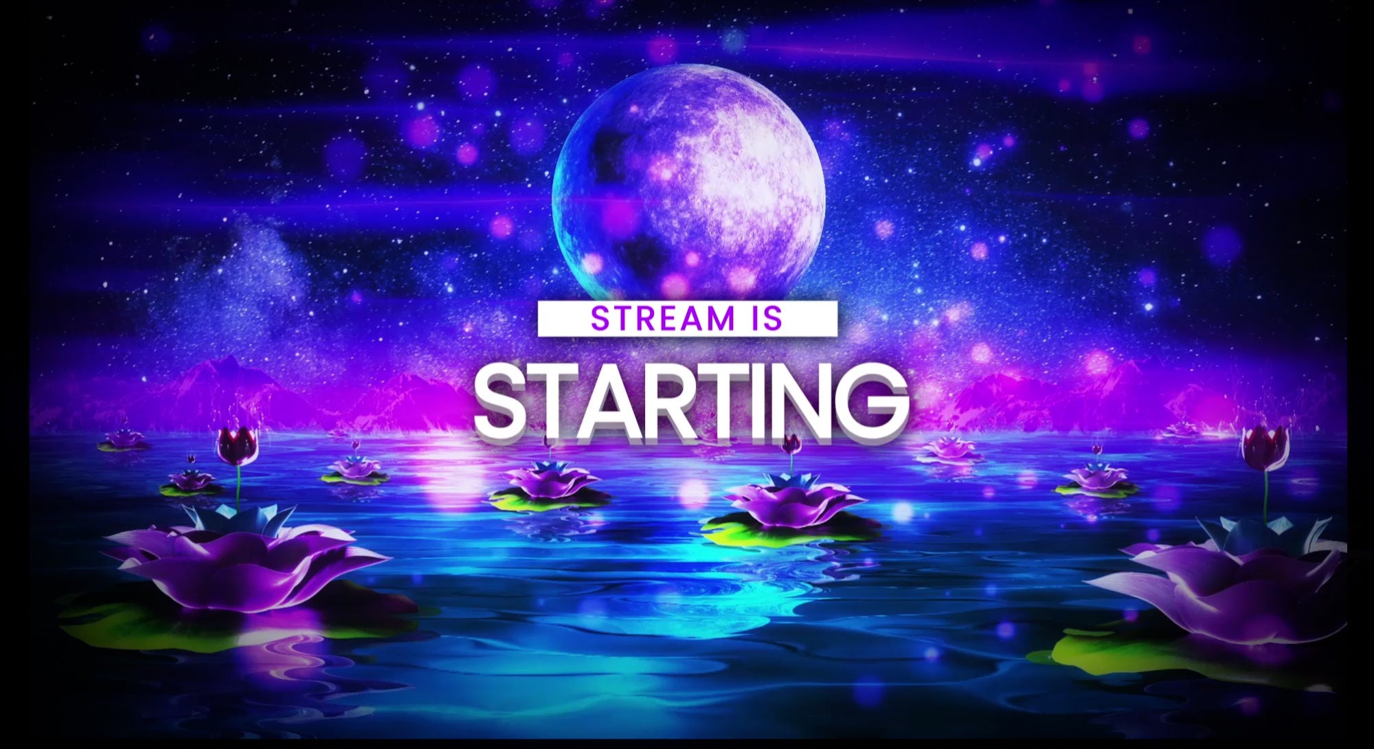 Twitch Stream Overlay Pack Animated Overlays Fantasy - Etsy Canada