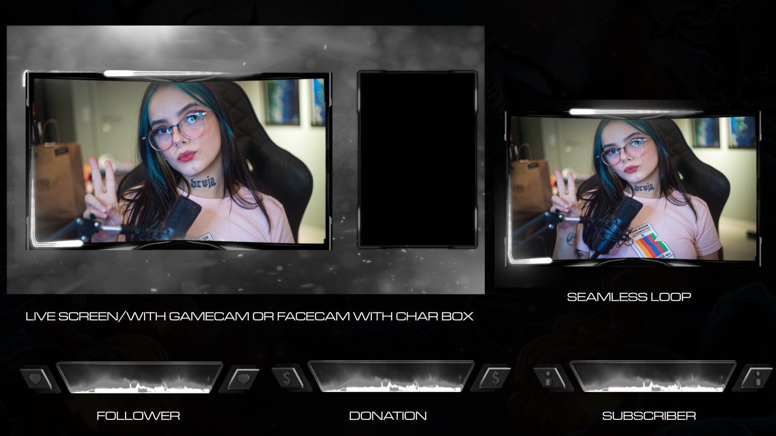 Horse Mare Stream Package Overlay Black & White Panels Webcam Facecam ...