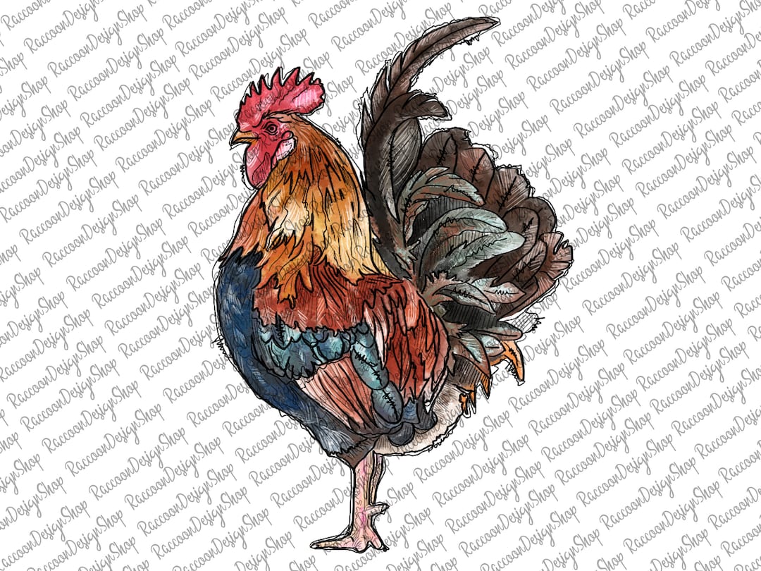 Watercolor Rooster Png, Rooster Png, Rooster Sublimation Png Files ...