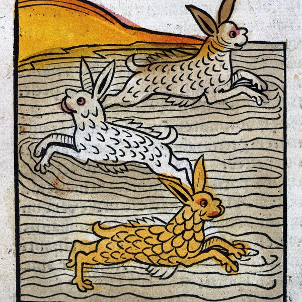 Three Hares - Etsy UK