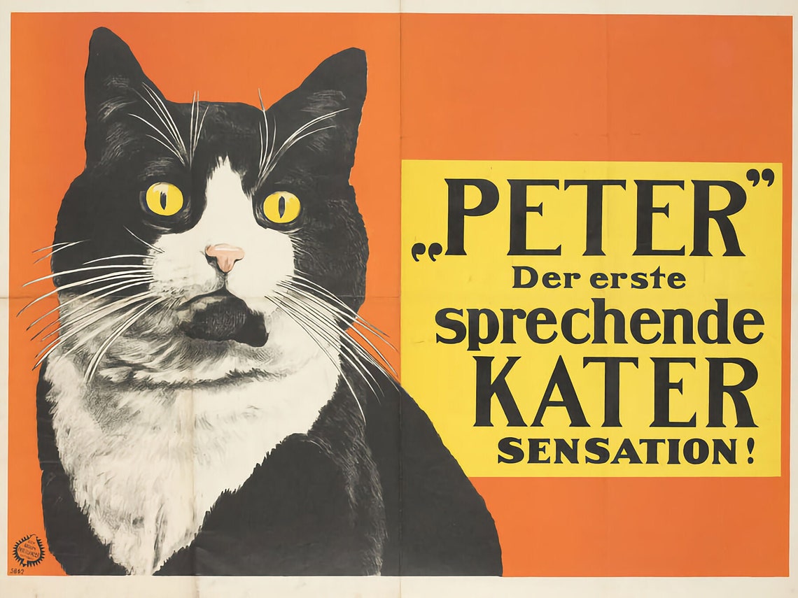 Peter, the First Talking Tom Cat by Adolph Friedländer C. 1913 - Etsy