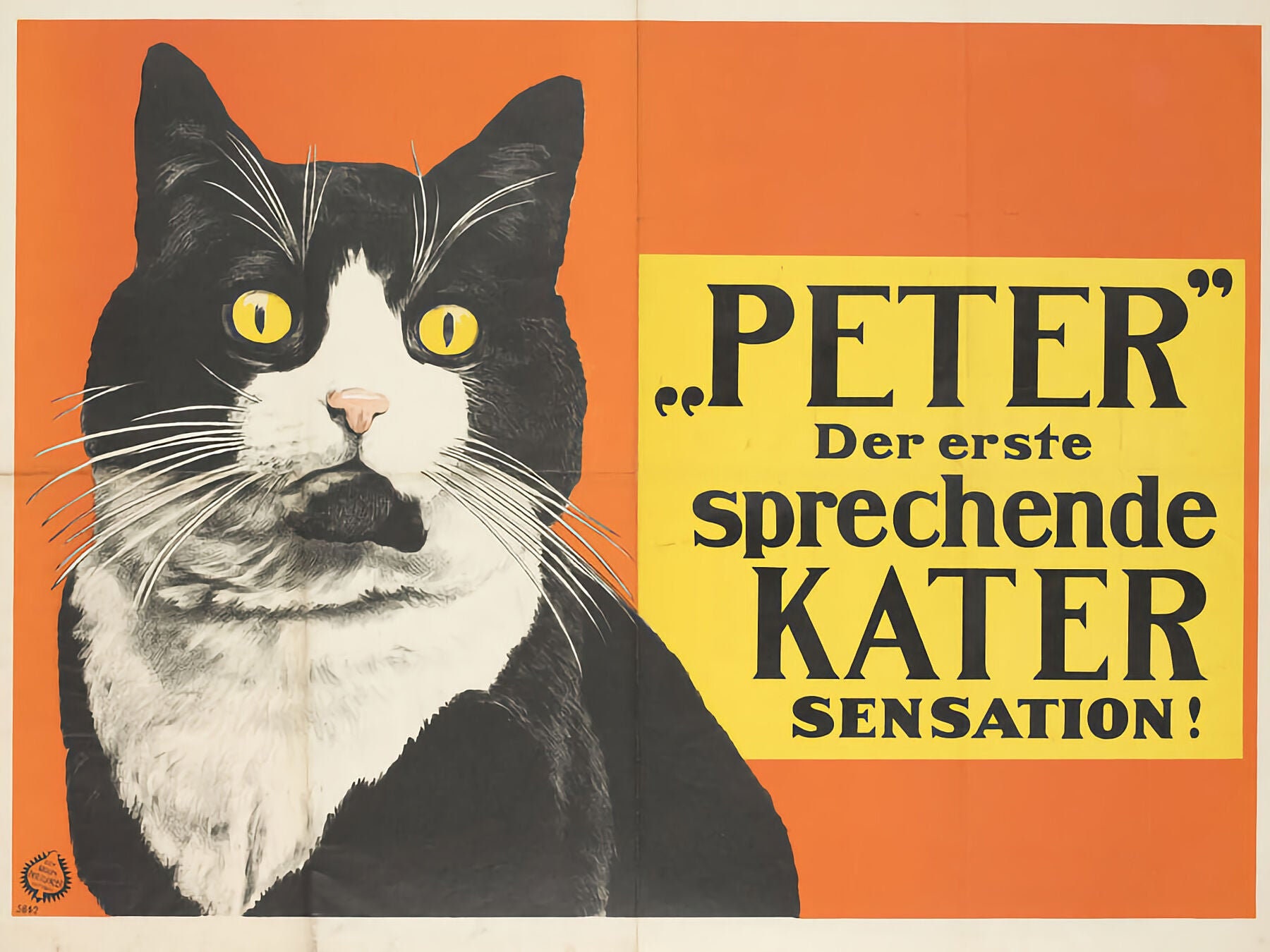 Peter, the First Talking Tom Cat by Adolph Friedländer C. 1913 - Etsy