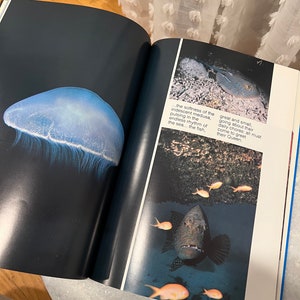 Samantha - David Pilosof Nude Mermaid Photography Book - Etsy