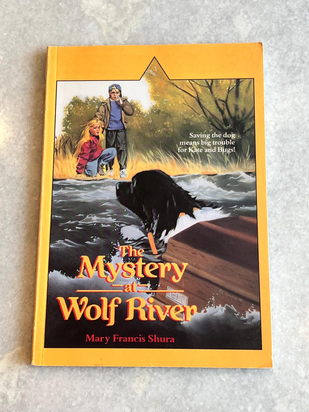 The Mystery at Wolf River - Mary Francis Shura - 1989 Paperback - Etsy