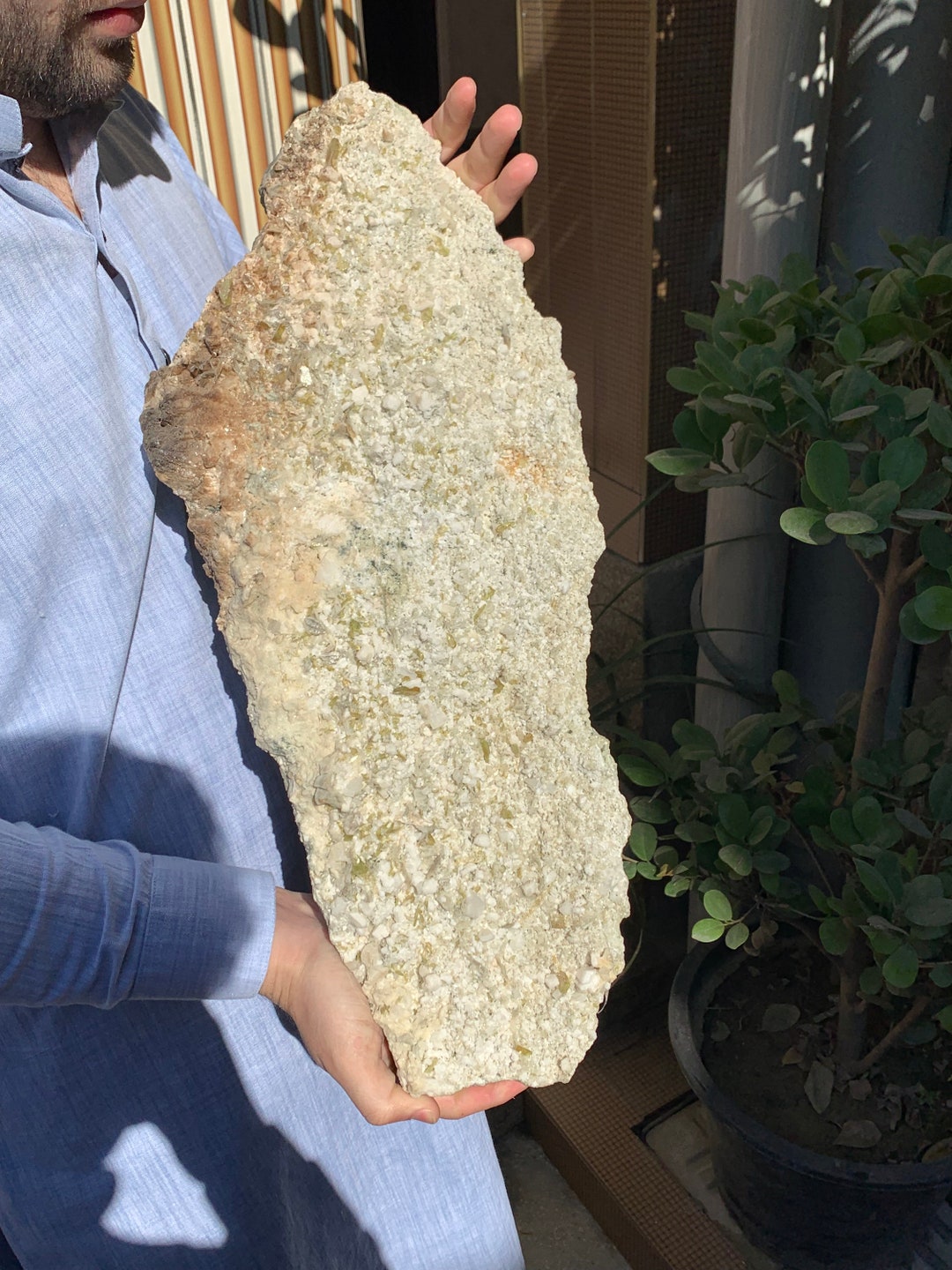 Huge Specimen of Sphene Titanite 100+ Sphene Terminated Crystal With ...