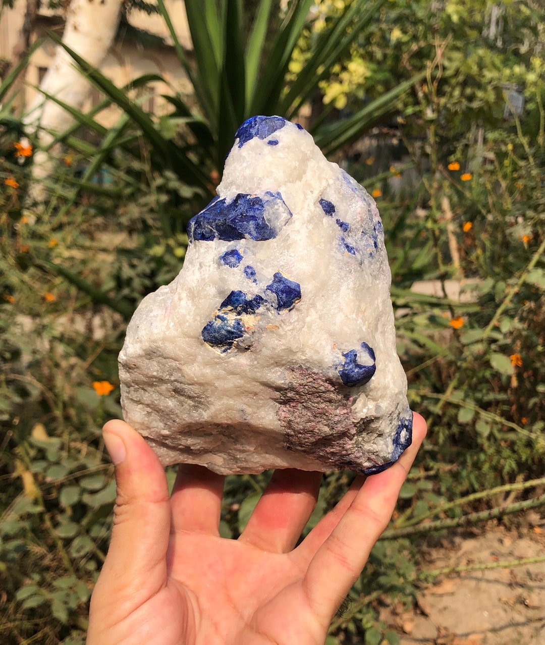 Rich Blue Lazurite Terminated Crystals on Milky White Calcite ...