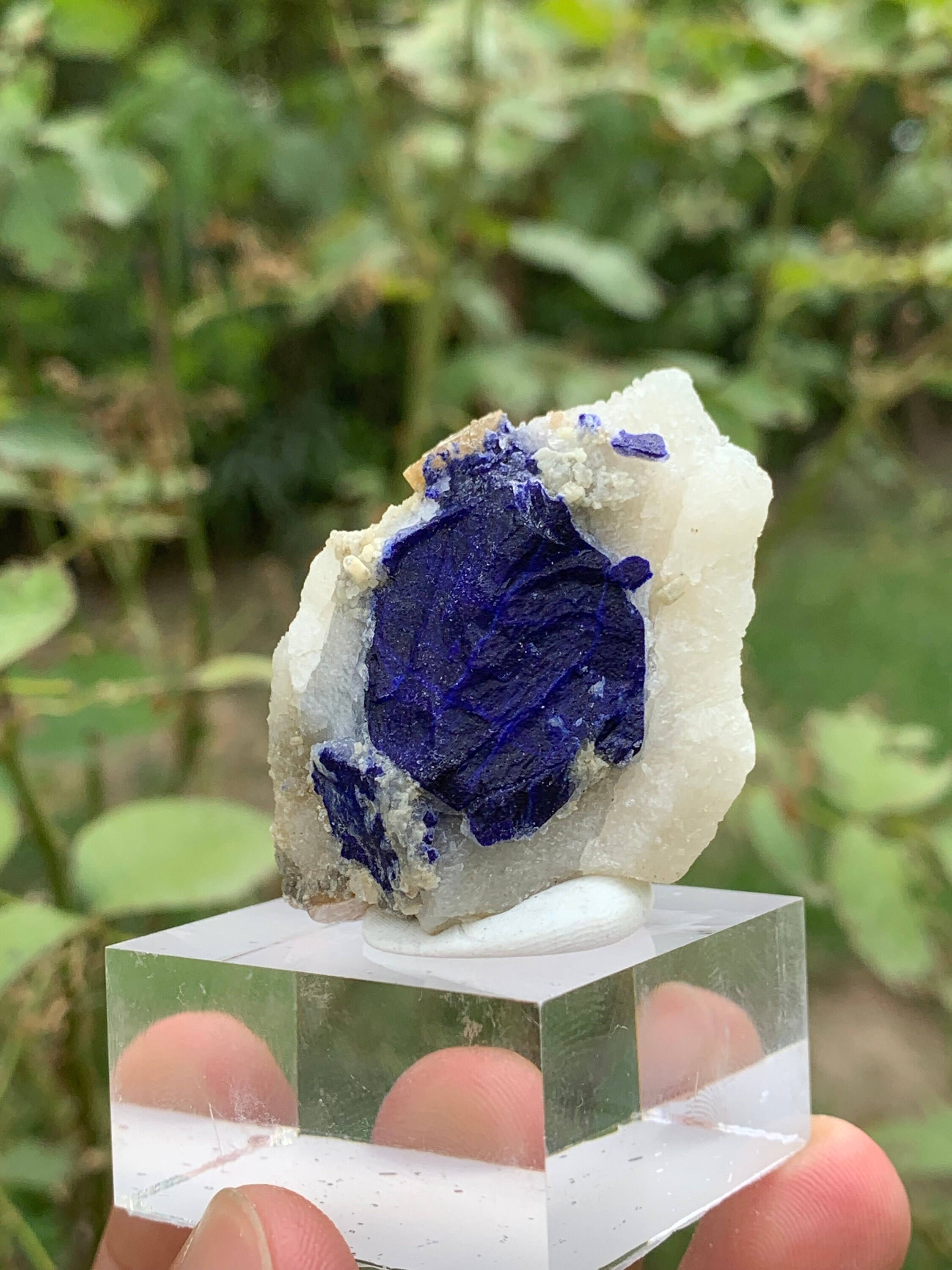 Lazurite Crystal With Calcite Specimen, Afghanistan - Etsy