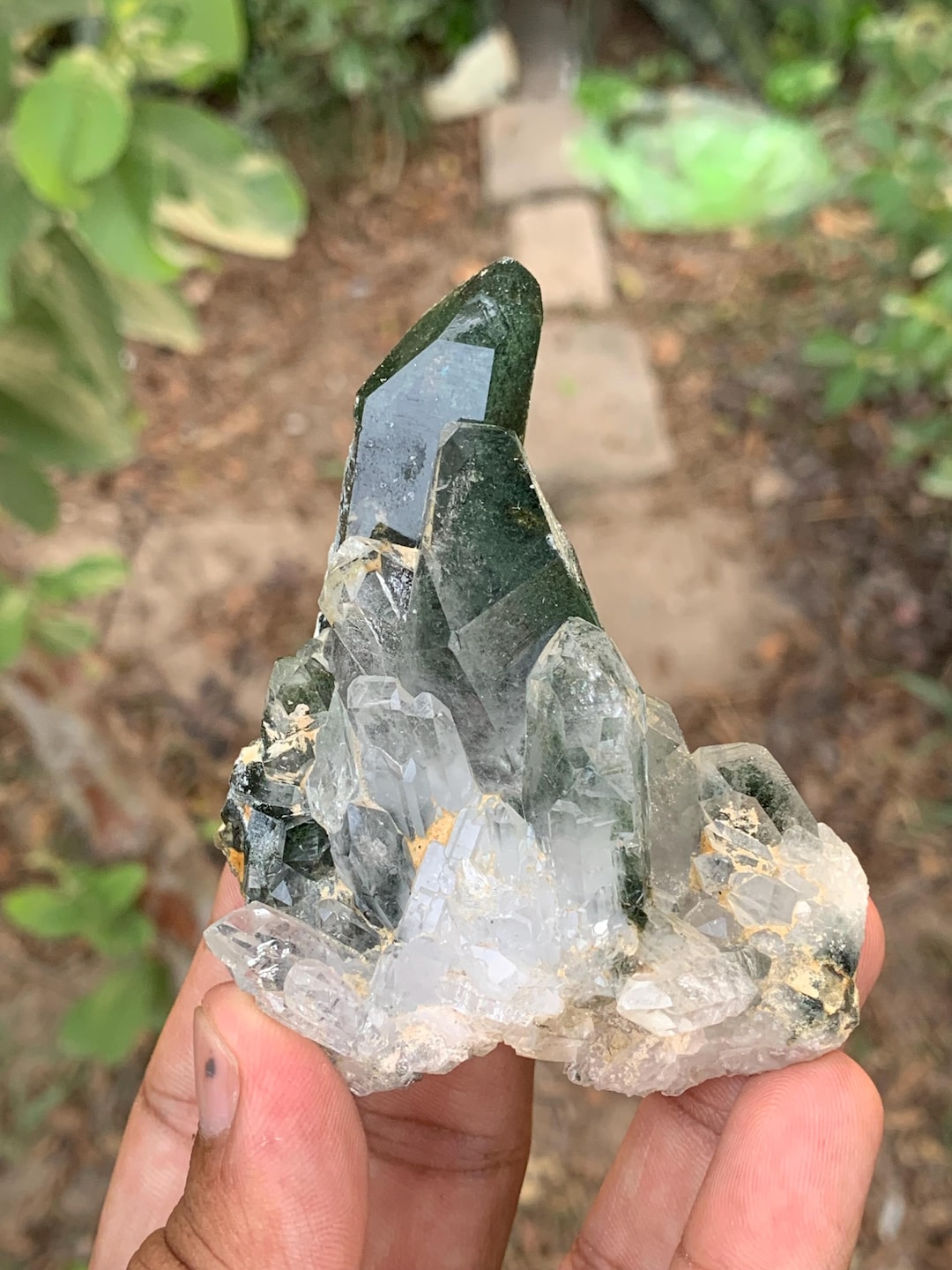 Lush Green Chlorine Quartz Crystals Cluster Having Fine Lustre From ...