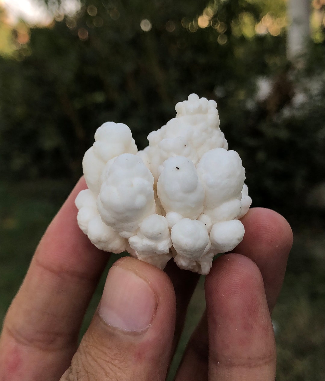 White Milky Calcite Crystals Flower / Bunch From Baluchistan Pakistan ...