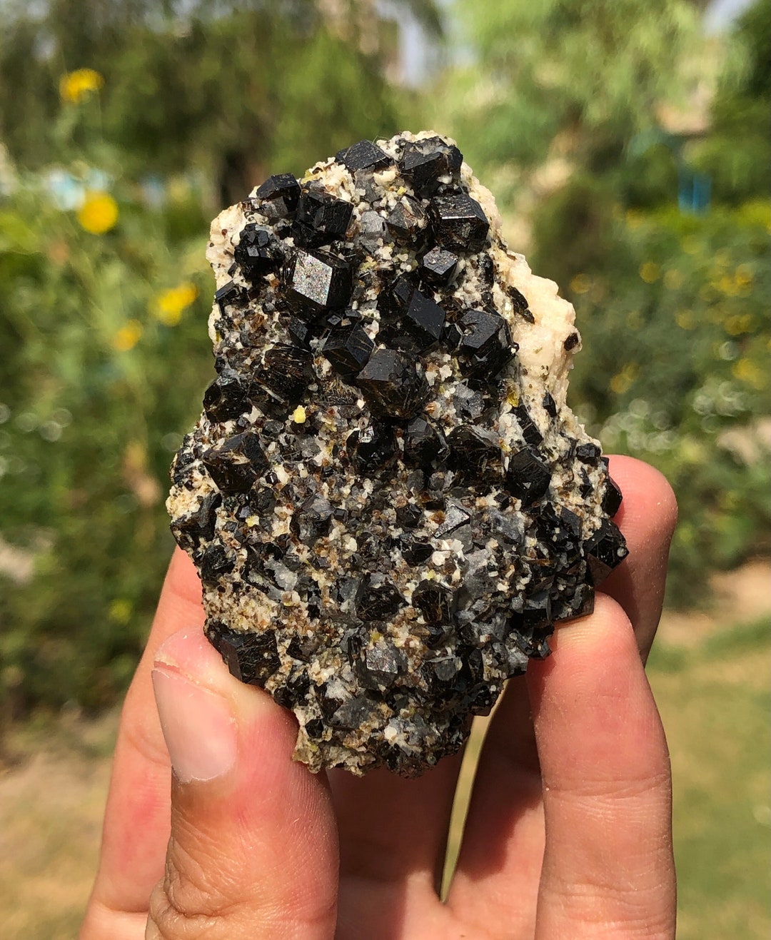 Reddish Black Andradite Garnet Crystals With Feldspar Specimen 00 - Etsy