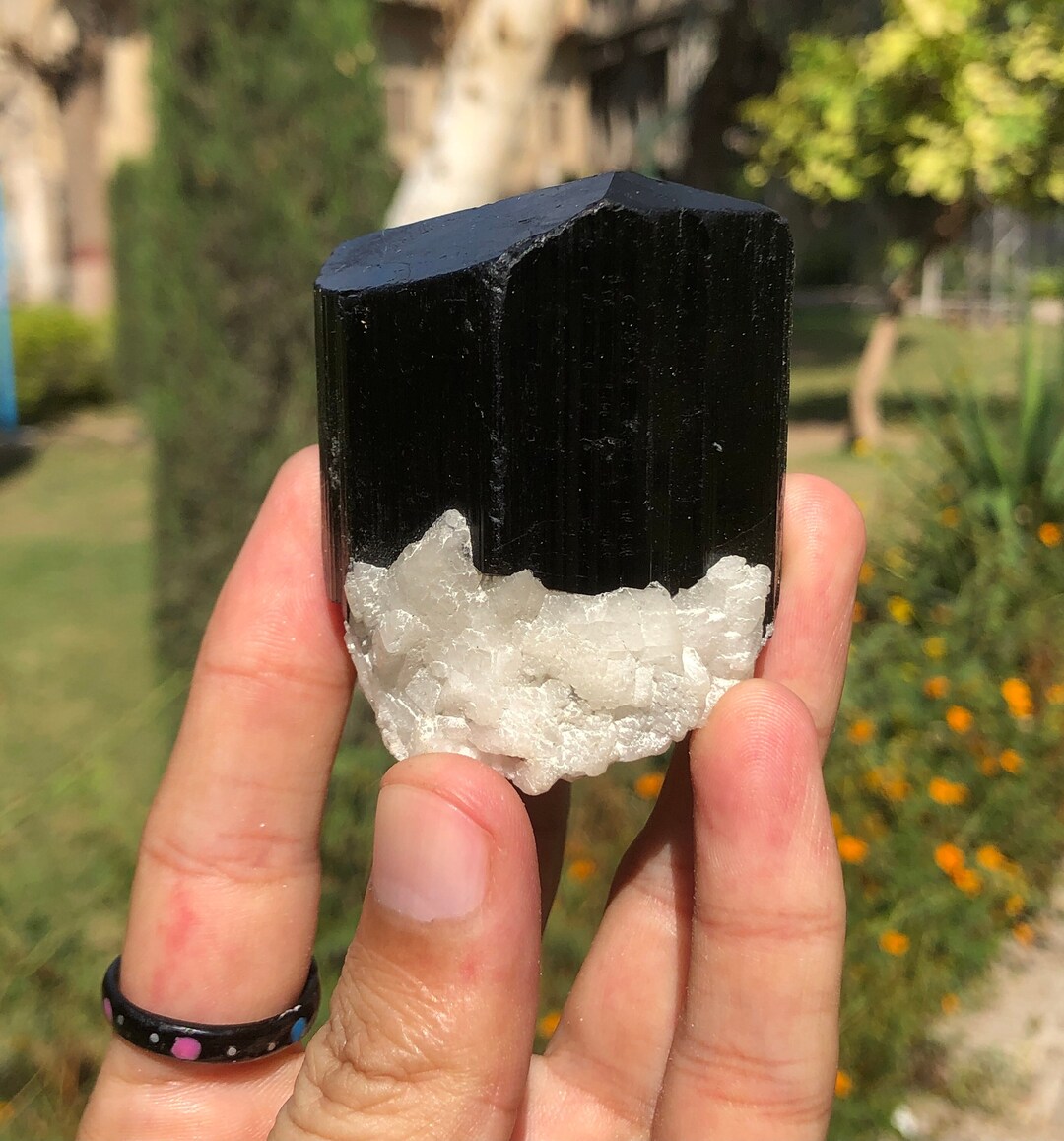 Schorl Var Black Tourmaline Terminated Crystal With Sharp Lustre ...