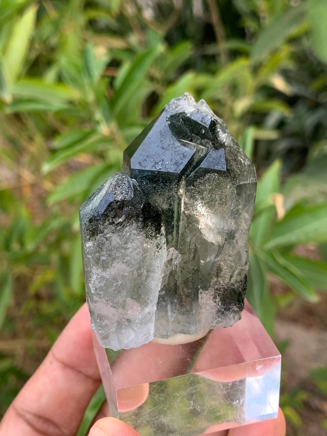 Lush Green Chlorine Quartz Crystals Bunch Having Fine Lustre From ...