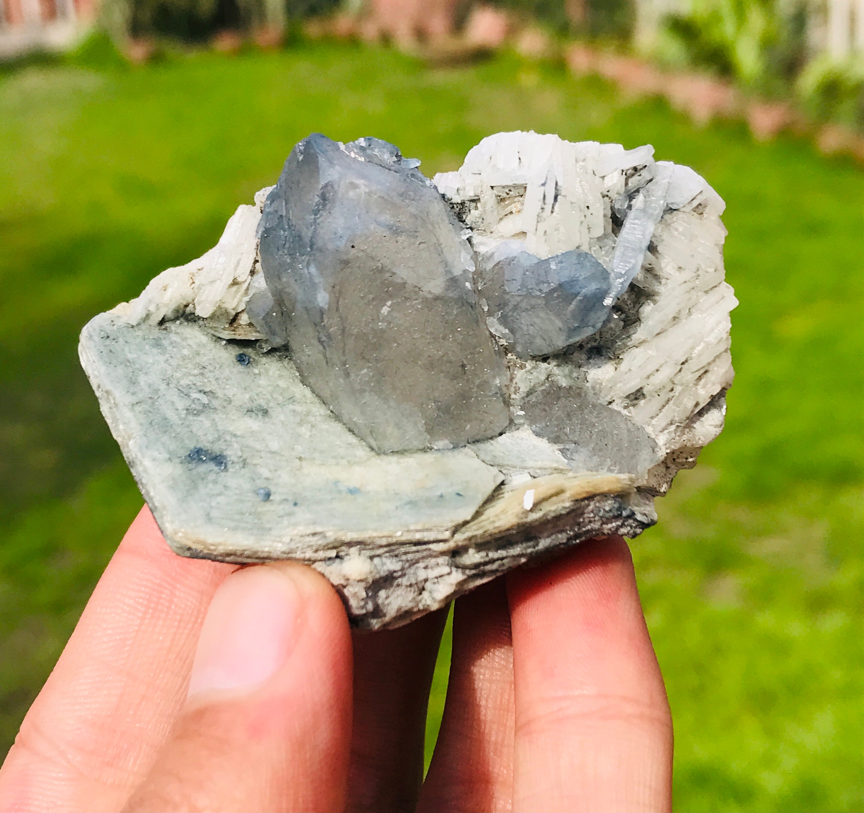 Rare Blue Quartz Crystal With Muscovite - Afghanistan Mineral Specimen ...