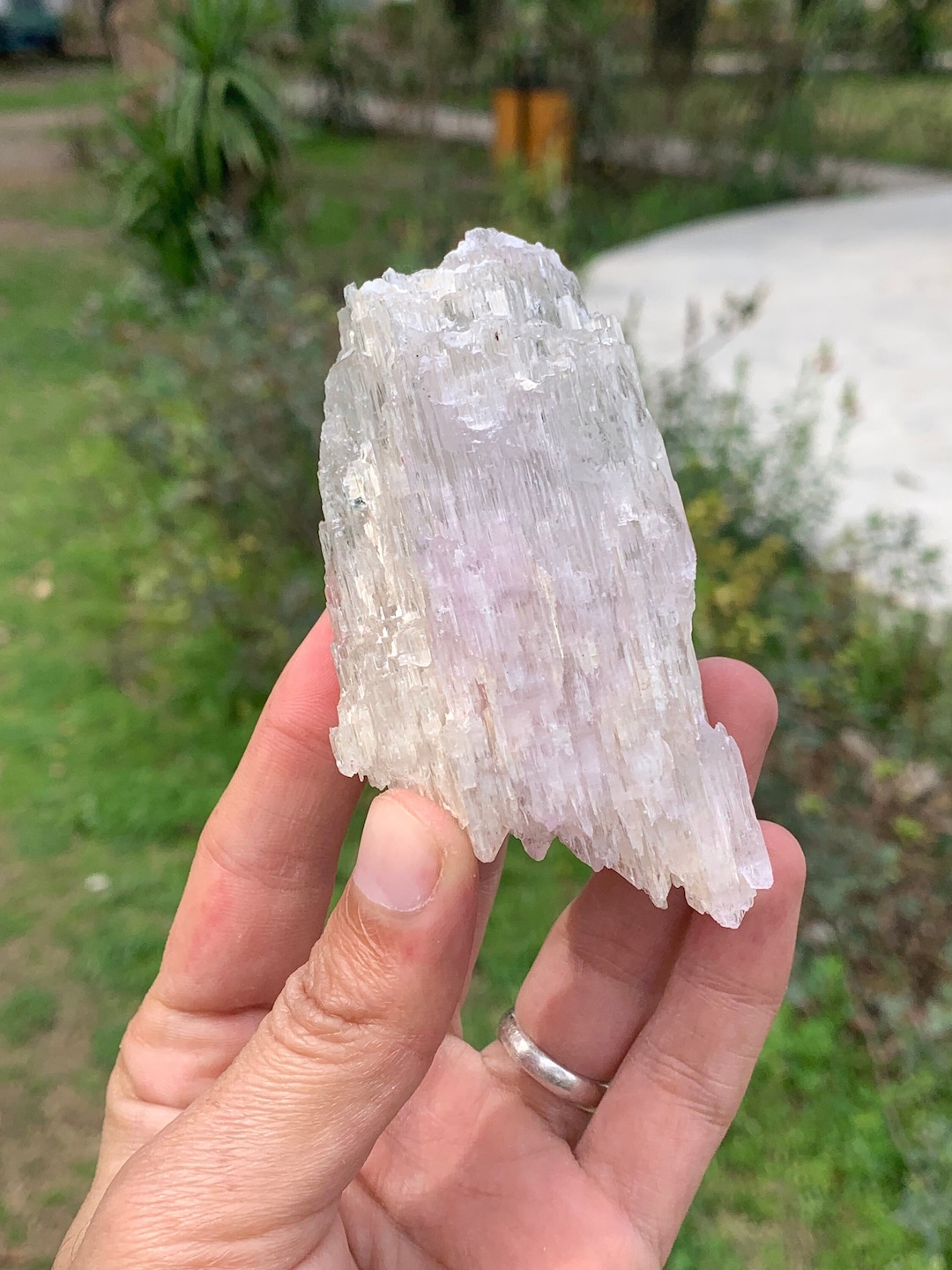 Etched Spodumene Var Pink & White Kunzite Crystal From Dara-e-pech ...