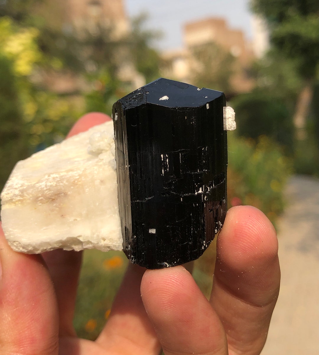 Schorl Var Black Tourmaline Terminated Crystal With Sharp Lustre ...