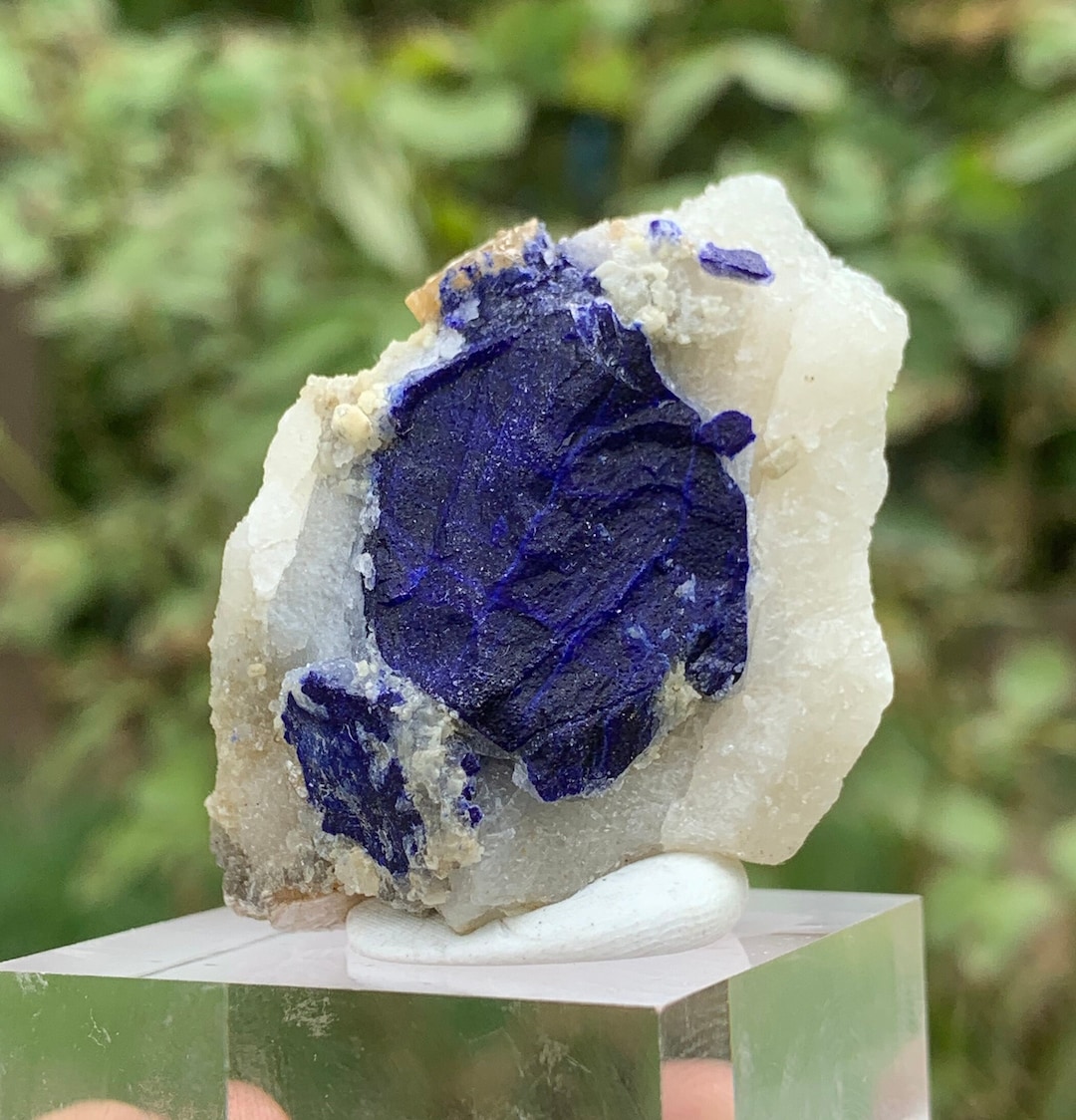 Aesthetic Rich Blue Lazurite Crystals With Calcite Combine Specimen ...