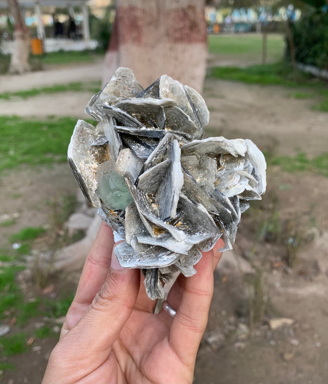 Octahedron Green Fluorite Terminated Crystal Sitting on Muscovite ...