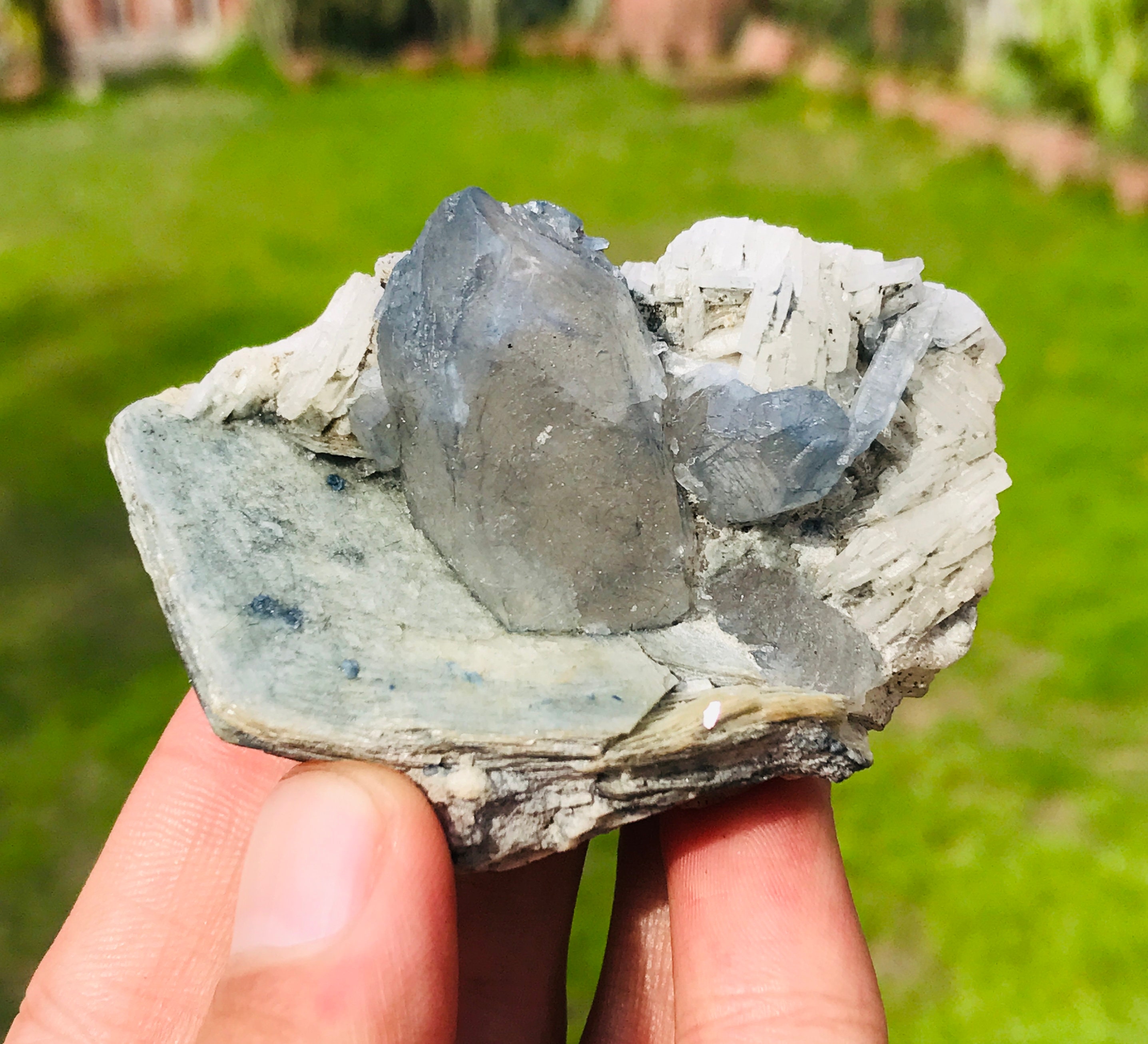 Rare Blue Quartz Crystal With Muscovite - Afghanistan Mineral Specimen ...