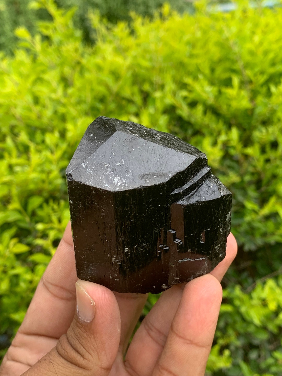 Schorl Var Black Tourmaline Double Terminated Crystal Having Muscovite ...
