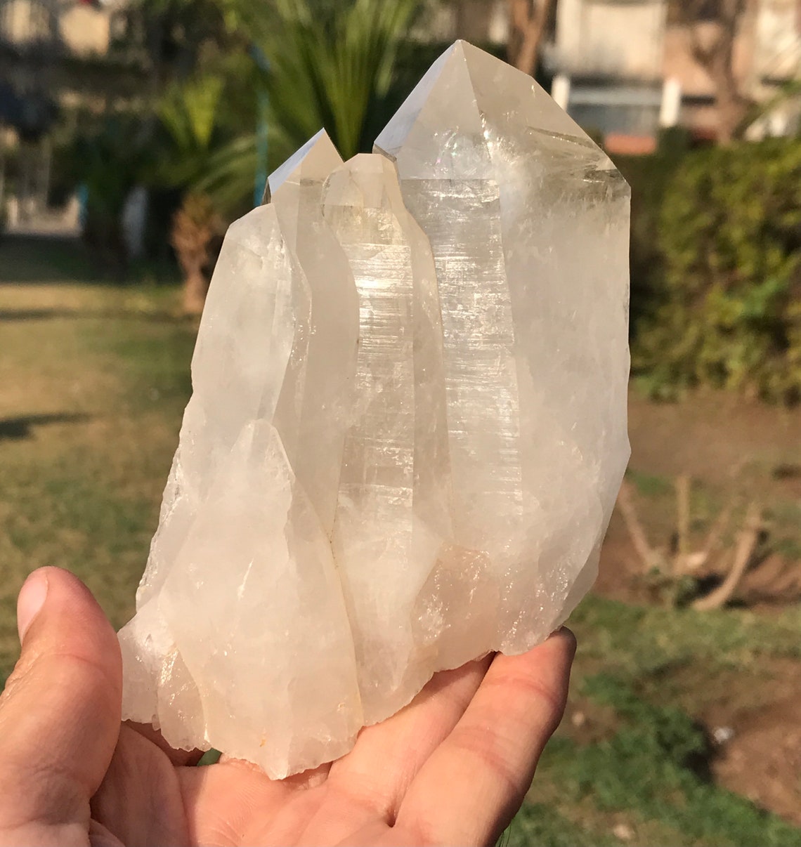 Terminated Lustrous Faden Quartz Cluster Crystals S12 - Etsy