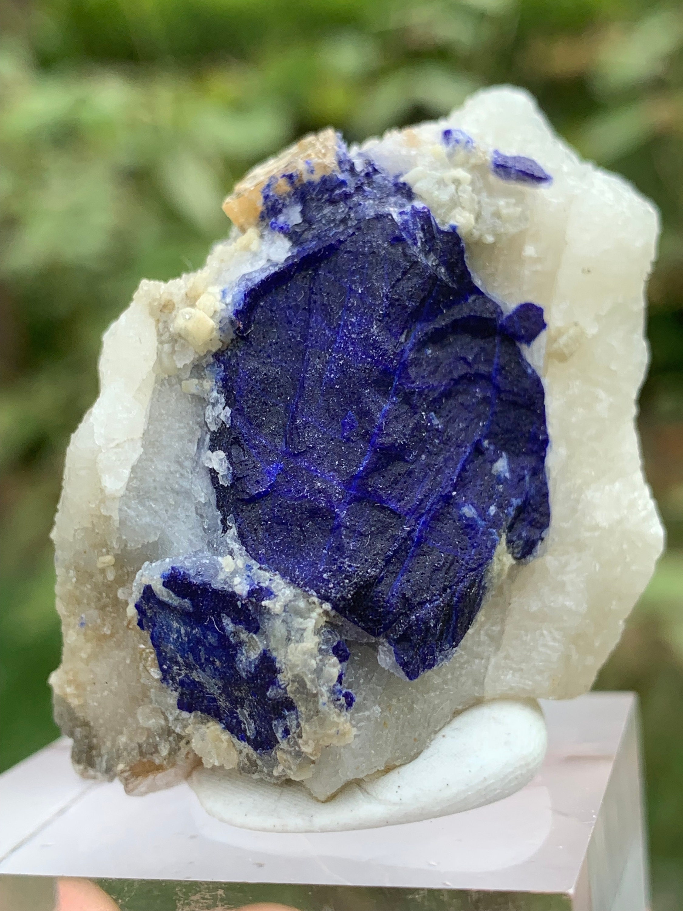 Lazurite Crystal With Calcite Specimen, Afghanistan - Etsy