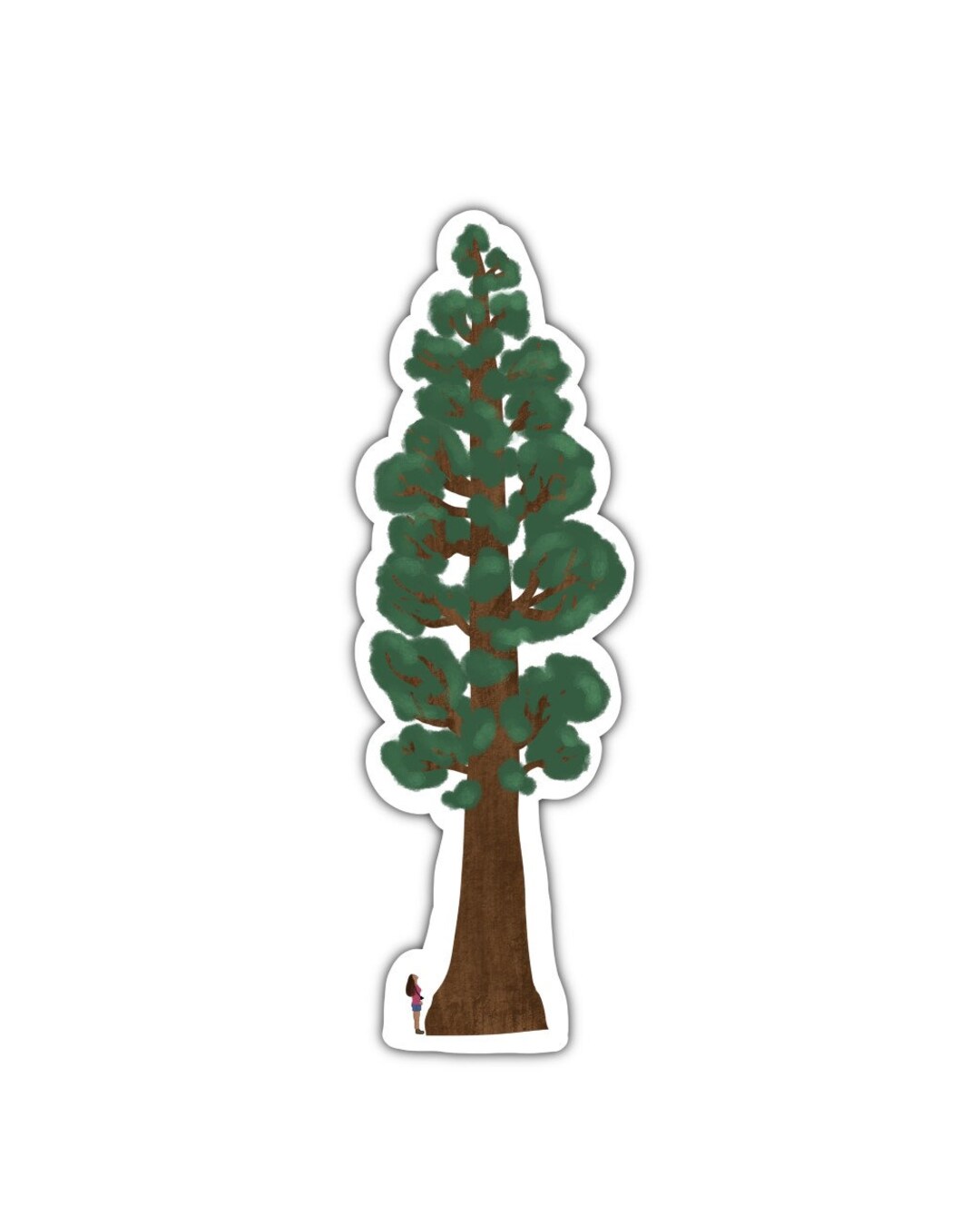 Sequoia Tree Sticker, Redwood Sticker, Nature, Forest, Vinyl Sticker ...