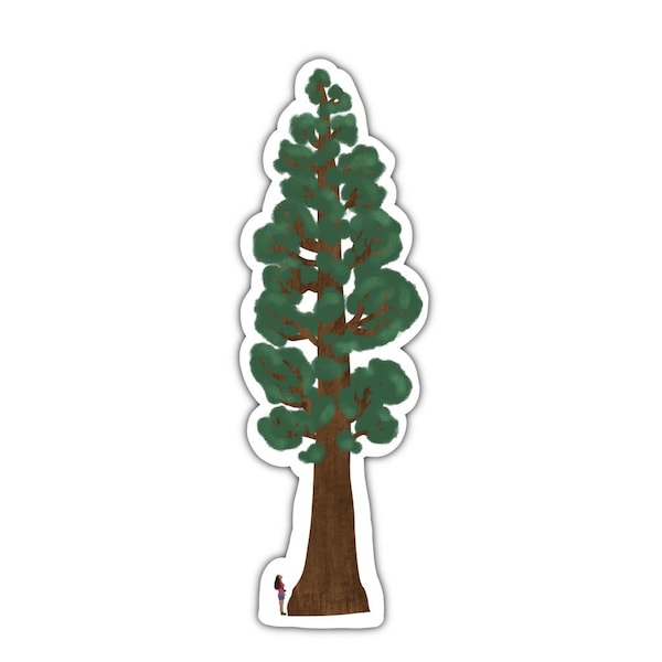Sequoia Tree - Etsy