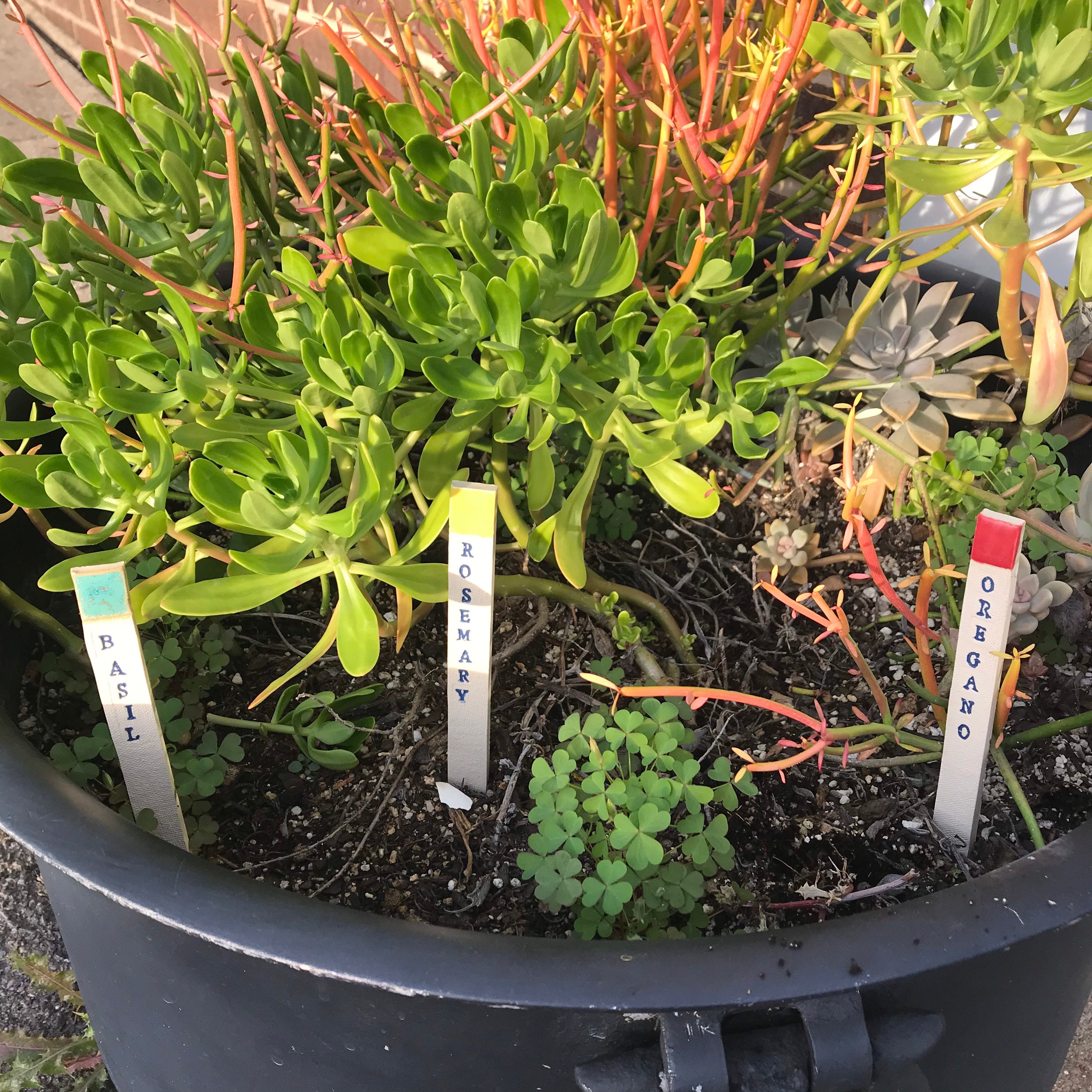 Herb Markers, Garden Labels, Ceramic Name Stake - Etsy