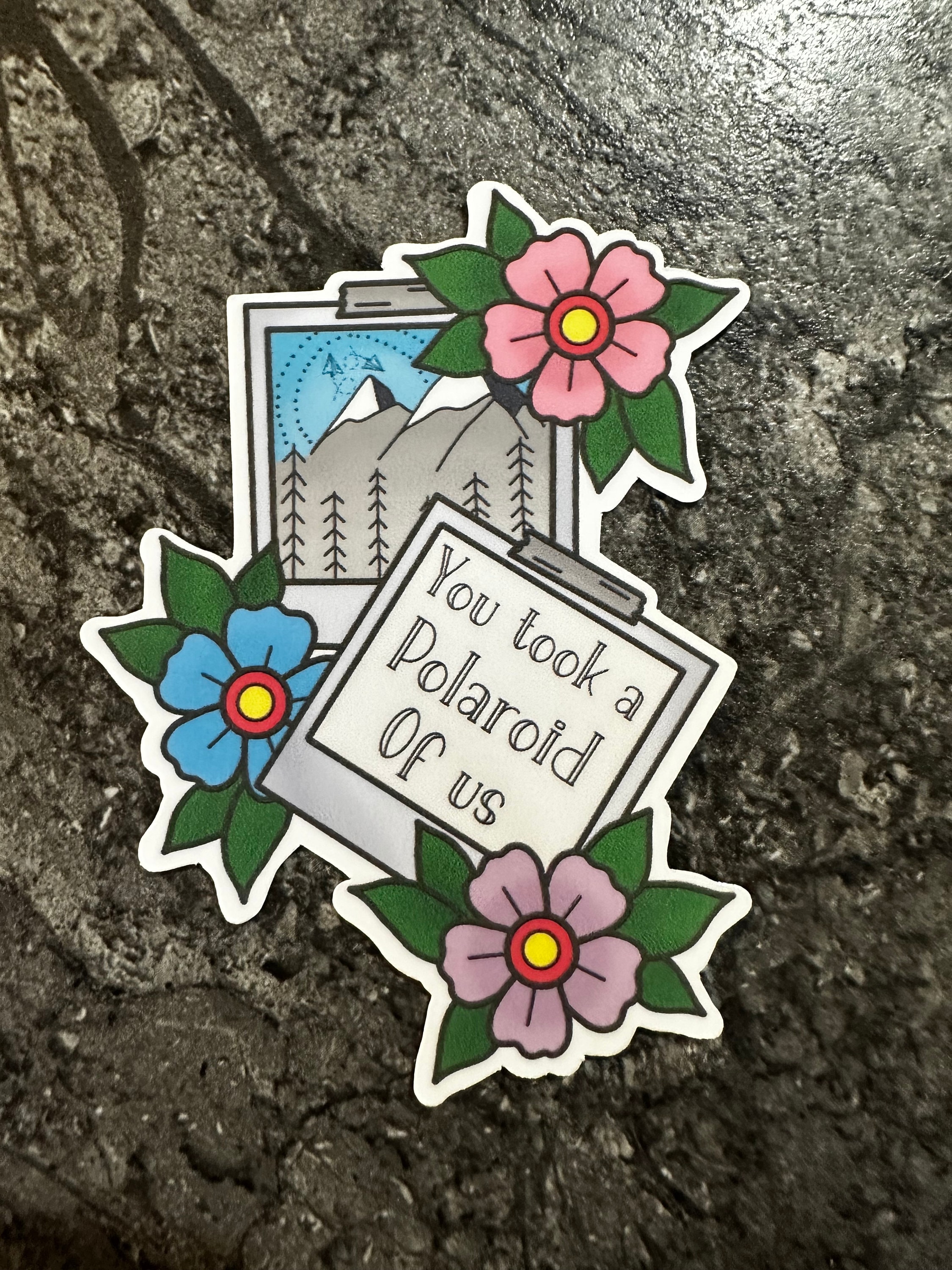 Polaroid Taylor Swift Matte Vinyl Sticker Decal for - Etsy