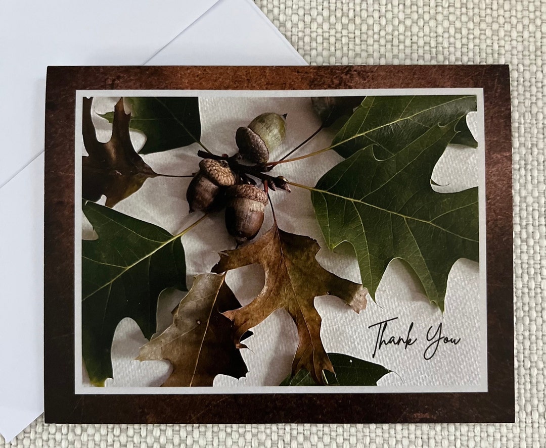Thank You Notes, Acorn Thank You Note Cards, Photographed Note Cards ...