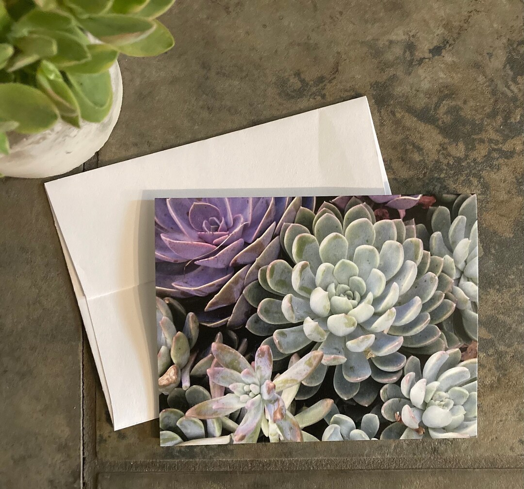 Succulent Sympathy Thank You Notes: Watercolor Floral Cards - Etsy