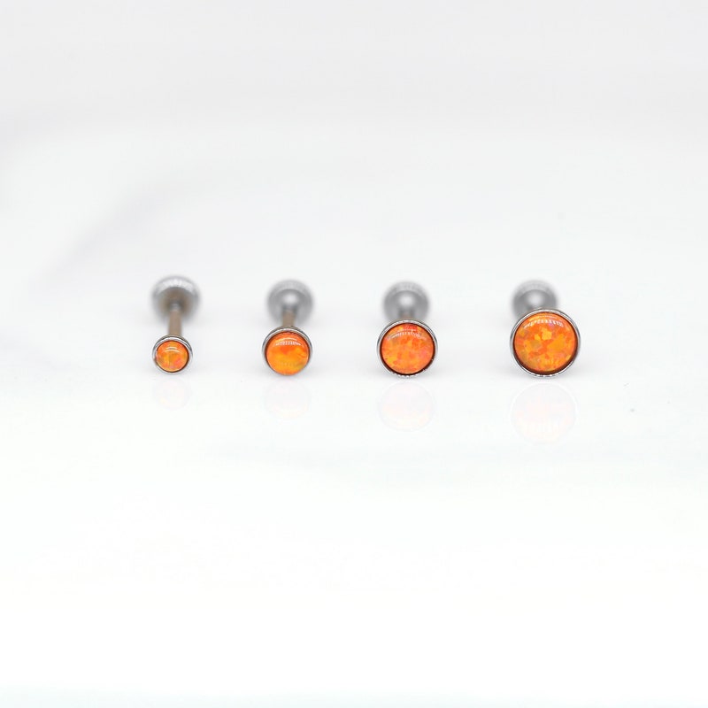Orange Stud Earrings - Etsy