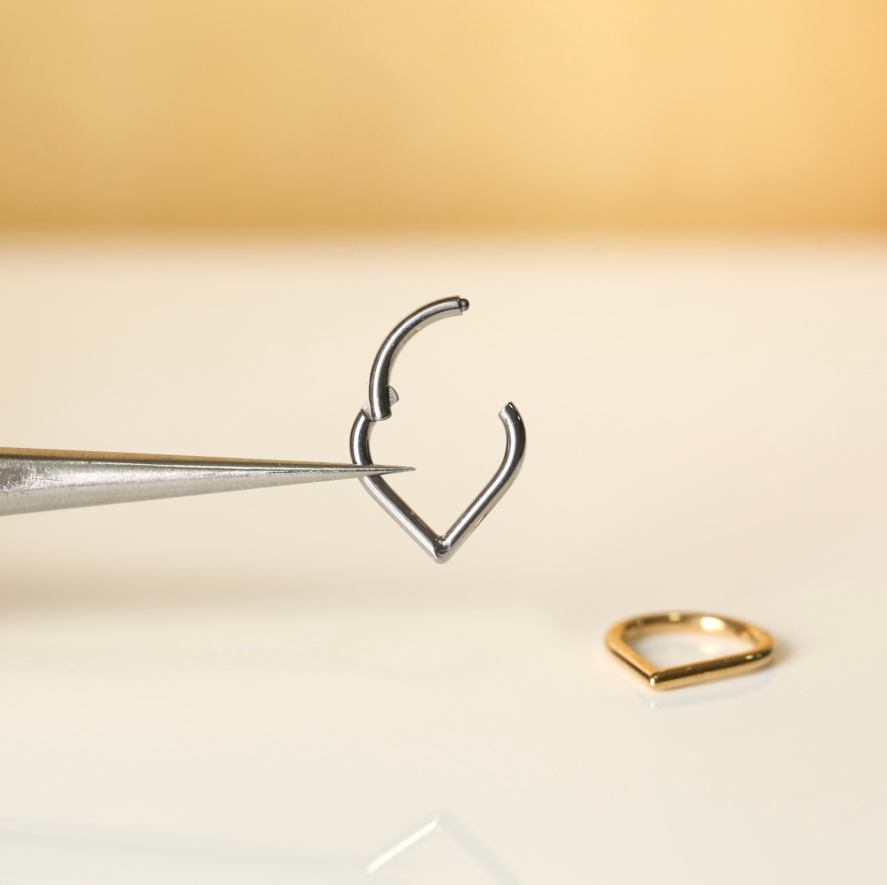 16G TITANIUM Teardrop Triangle 8mm Hinged Segment Ring - Etsy