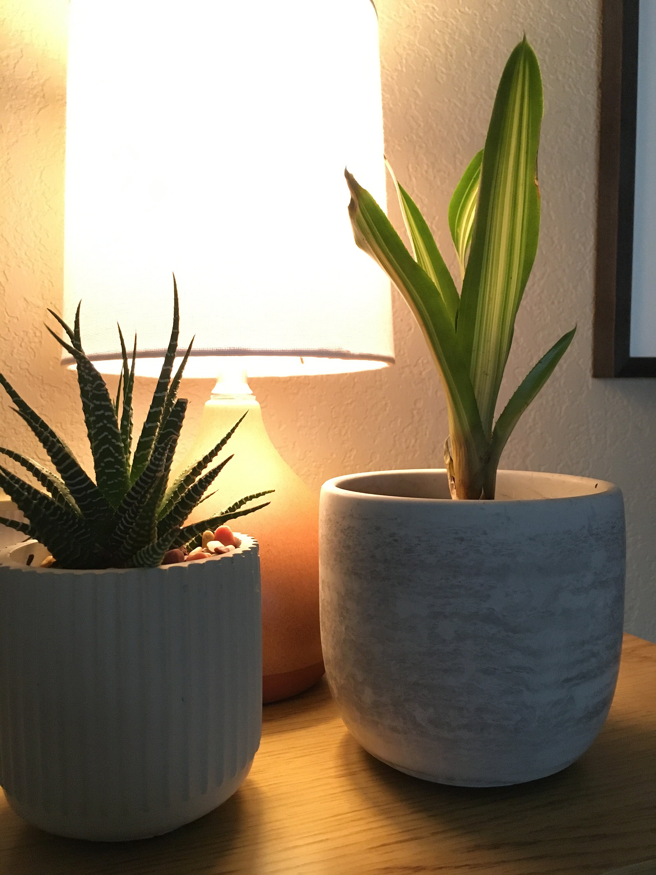 MEDIUM (4") Concrete Container - SEALED - Minimalist - Modern - Etsy