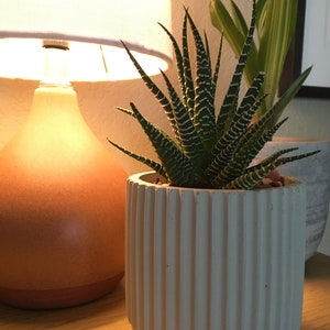 SMALL (3") Ridged Concrete Container - SEALED - Minimalist - Modern - Etsy