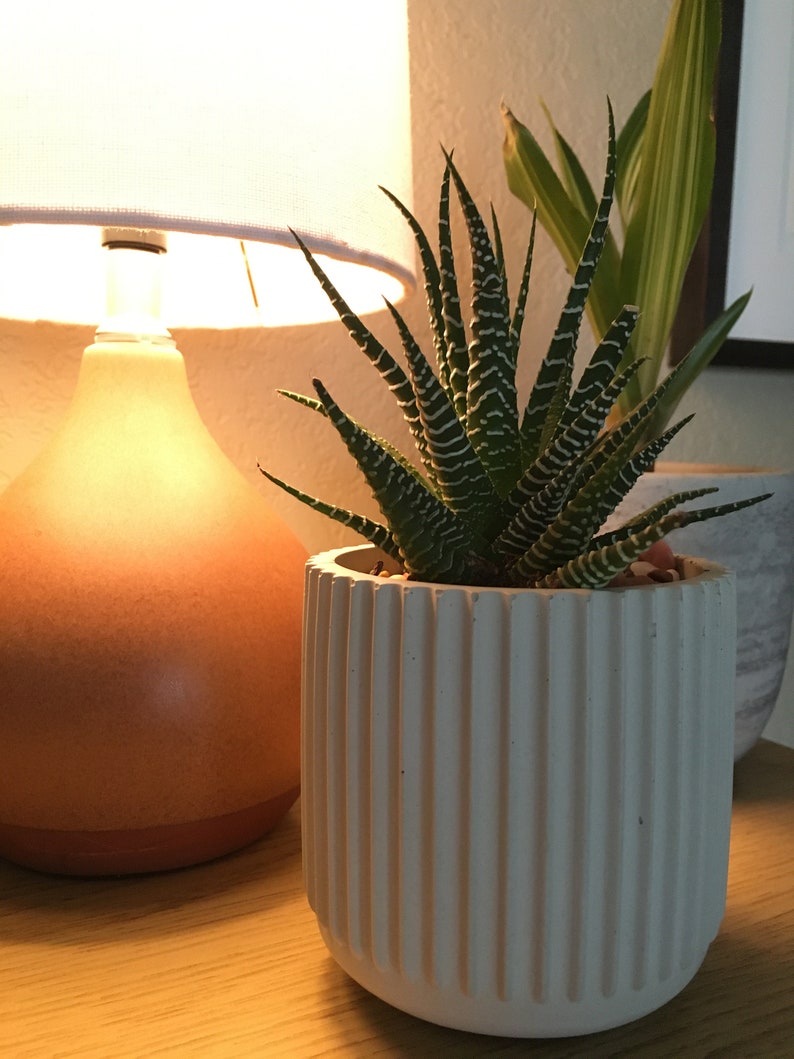 SMALL (3") Ridged Concrete Container - SEALED - Minimalist - Modern - Etsy