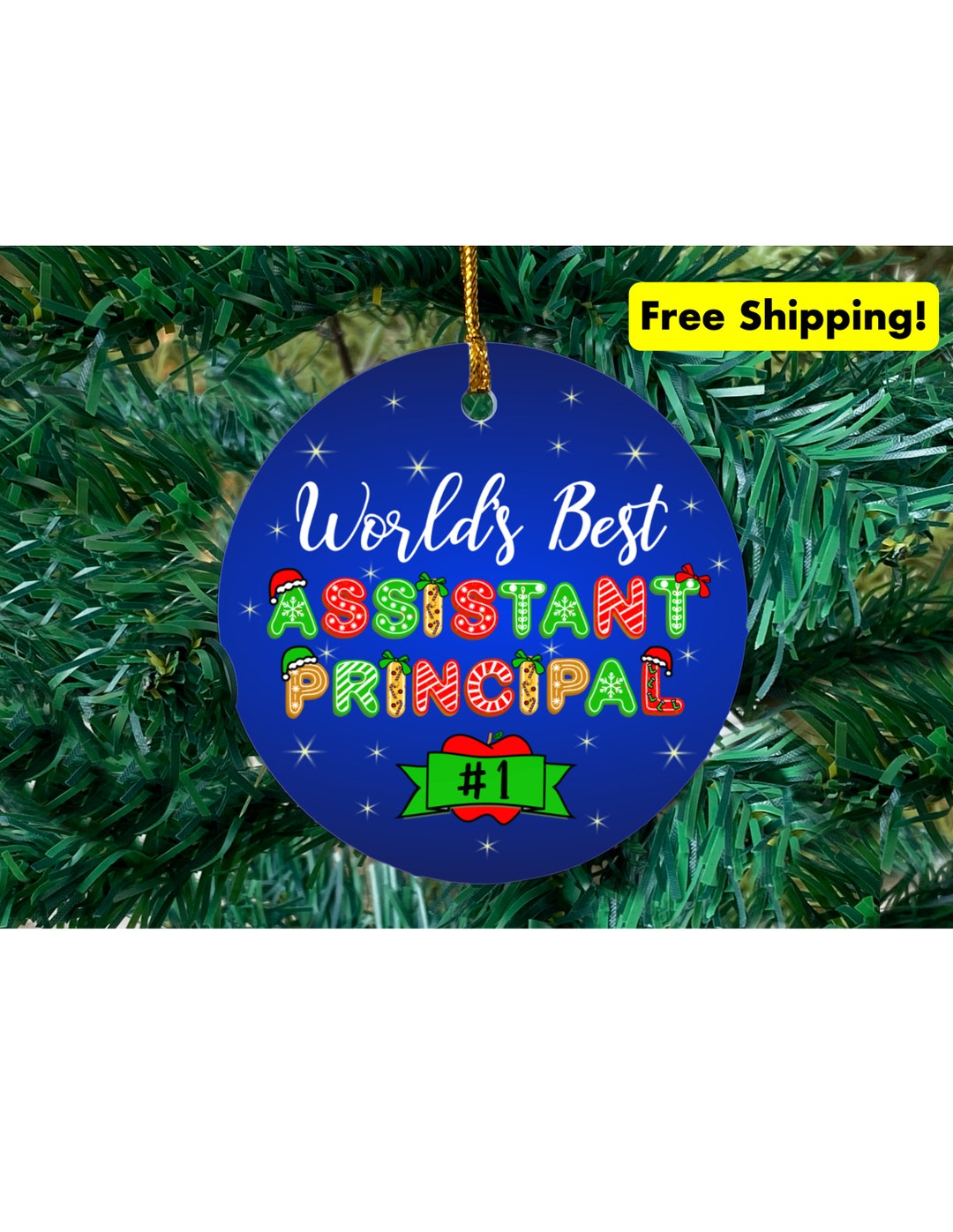 World's Best Assistant Principal Ornament, Vice Principal Gift, Unique ...