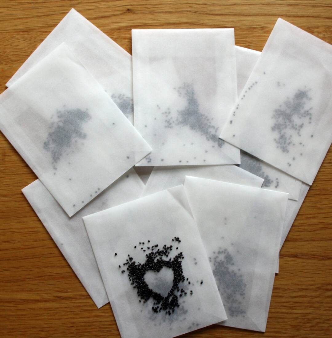 Forget Me Not Seeds Packets 10 Glassine Packs for Funeral, Wedding ...